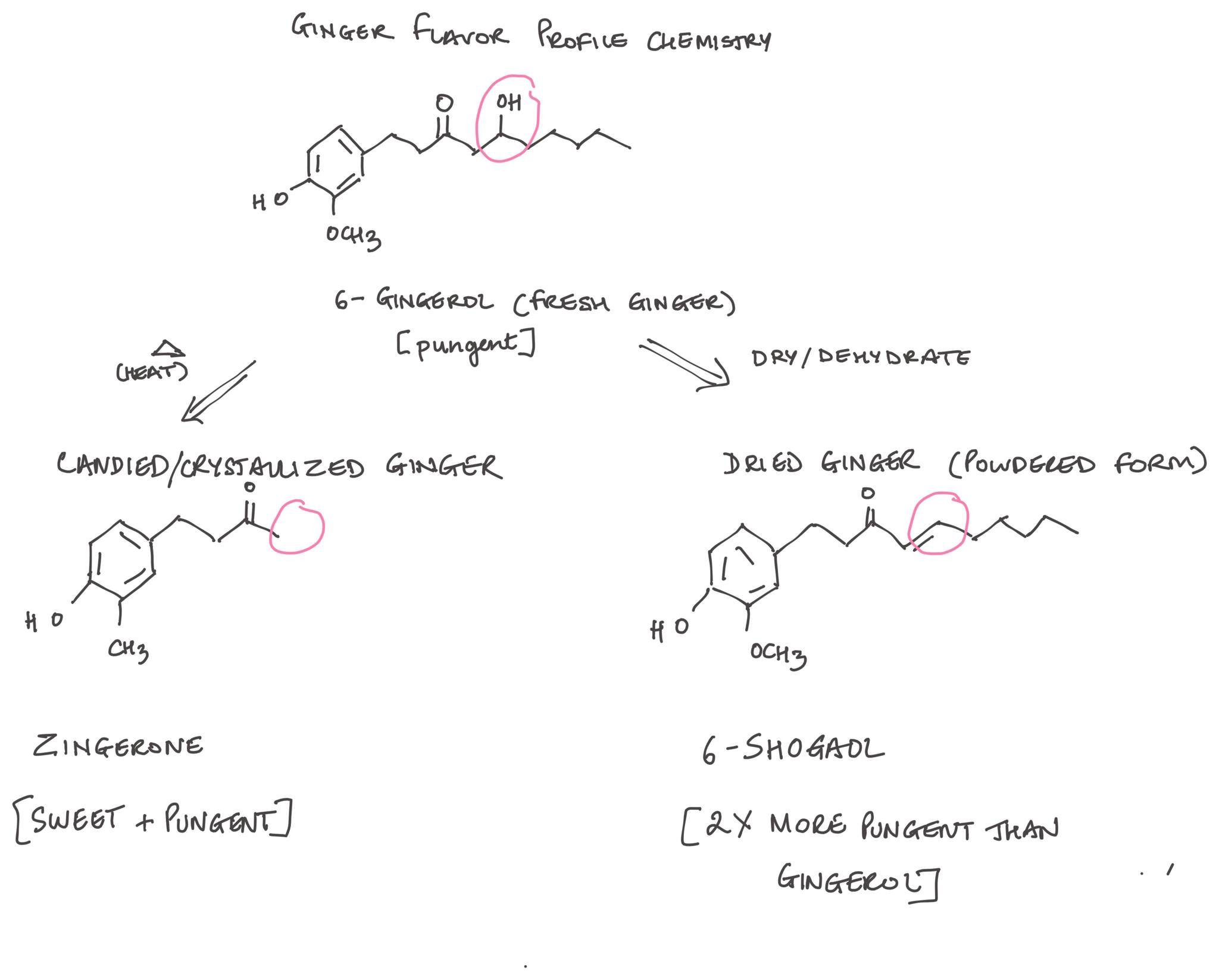 Perfect Gingersnap Cookies | Nik Sharma Cooks