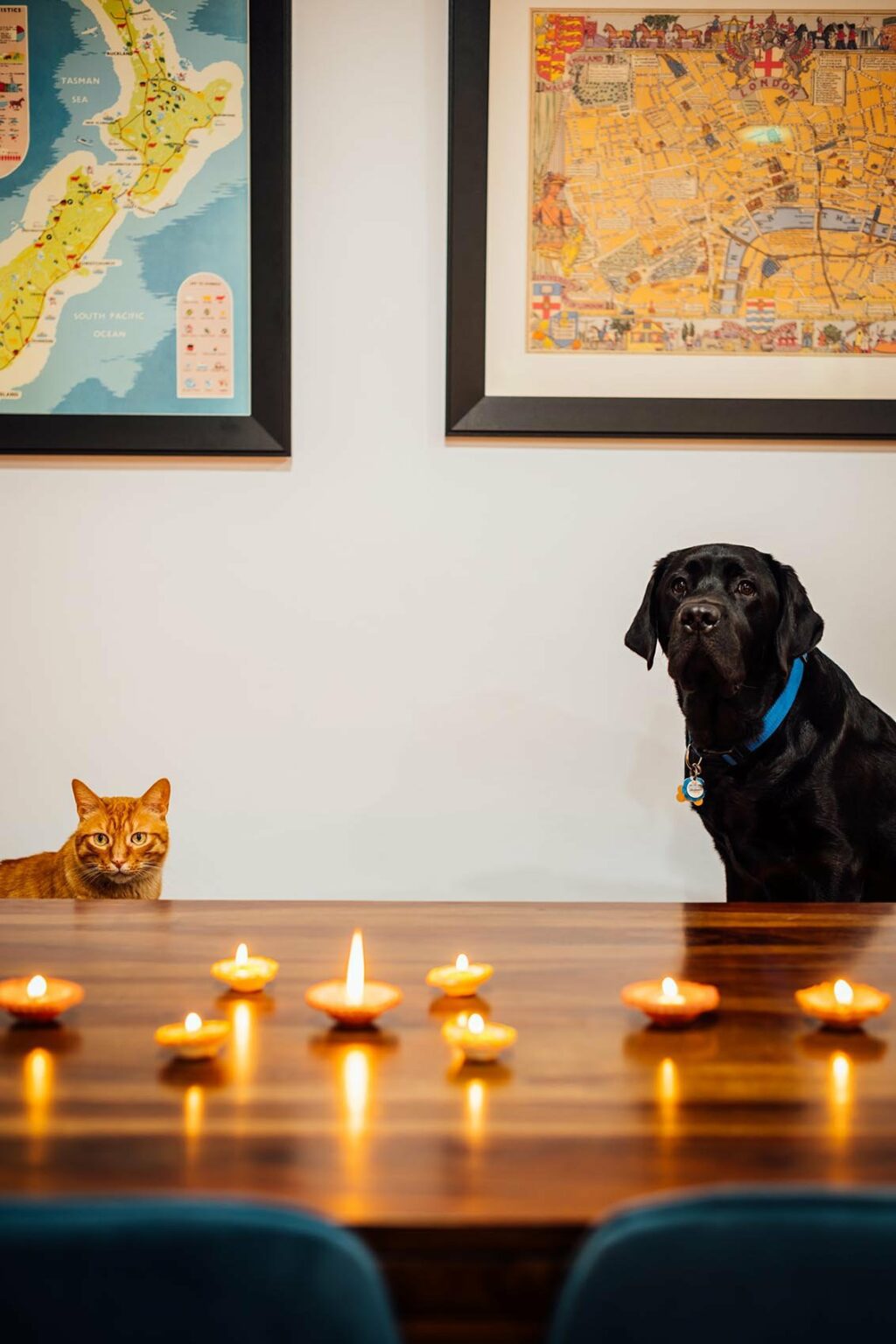 A Guide to Your Local Indian Grocery Store | Nik Sharma Cooks