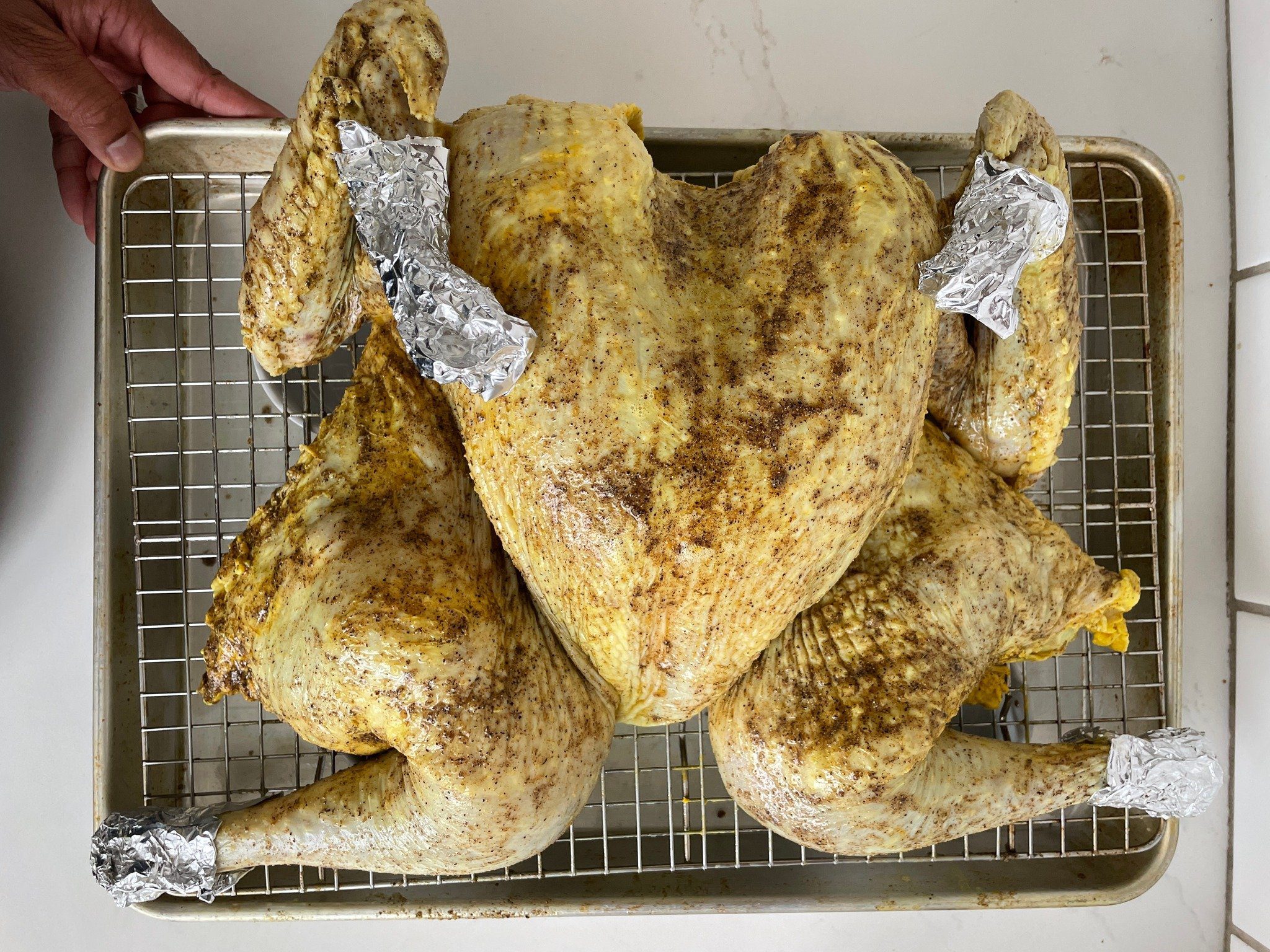 Golden Garlic Roast Turkey with Golden Turkey Gravy | linkinbio | Nik ...